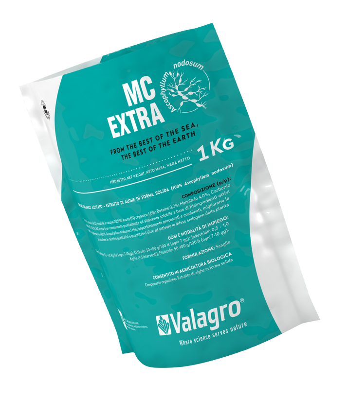 Ürün bilgisine atla